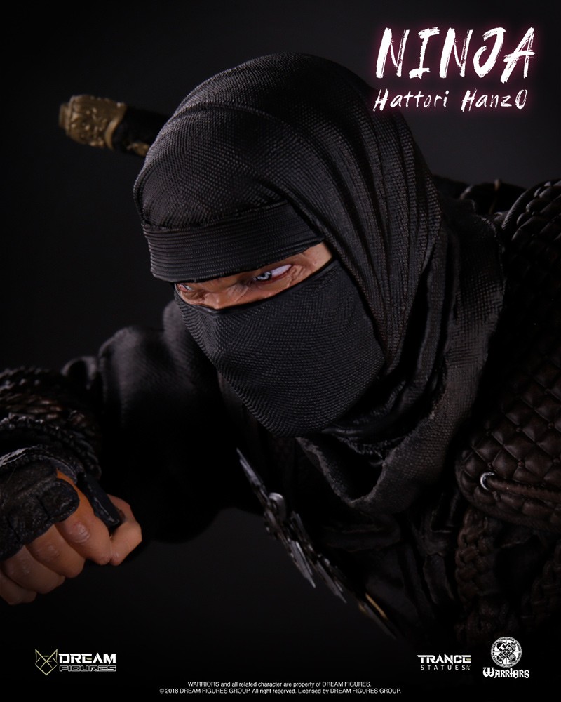 Warriors: Ninja (Hattori Hanzo)